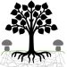 Dr. César Marín – Soil & Mycorrhizal Ecologist